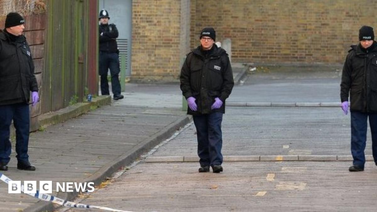 Tower Hamlets stabbing: Woman, 22, arrested on suspicion of murder ...