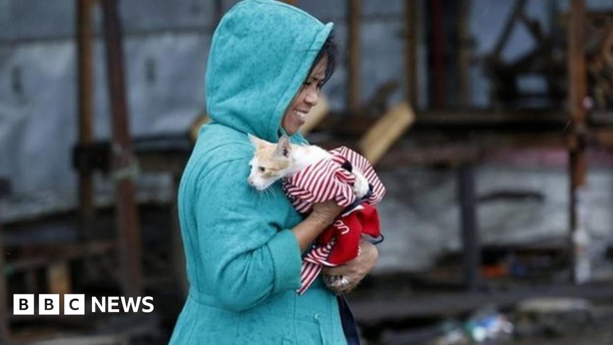 Typhoon Hagupit in pictures and tweets - BBC News