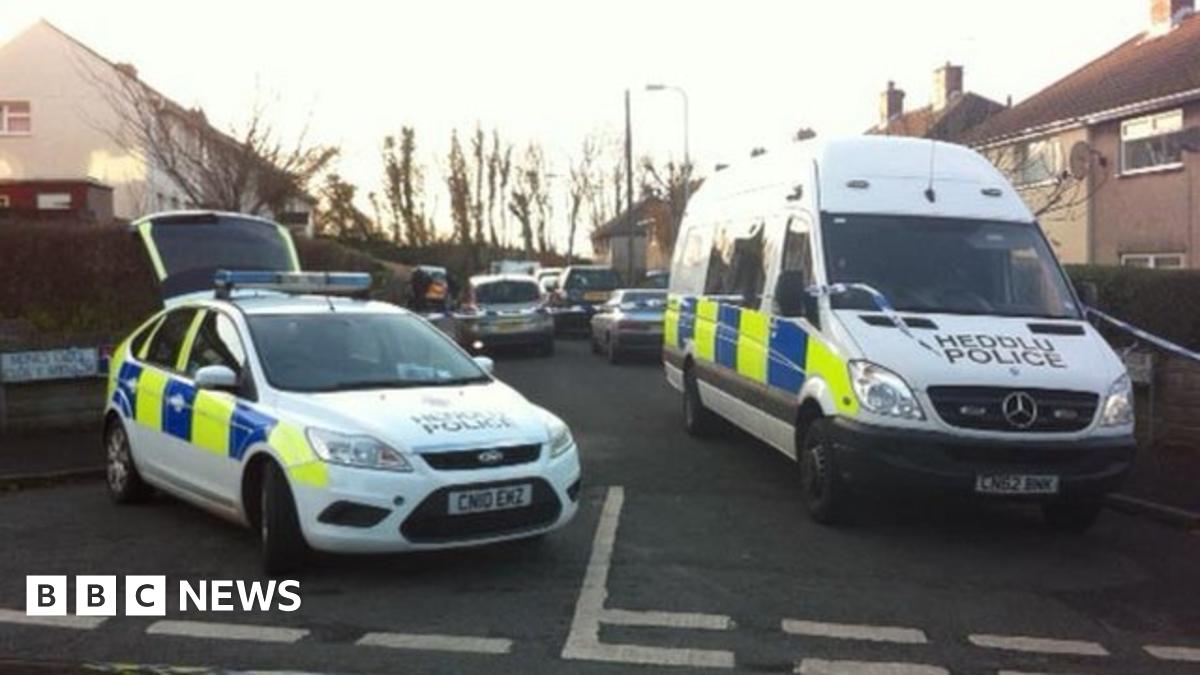 Two in court on murder charge over Pyle death - BBC News