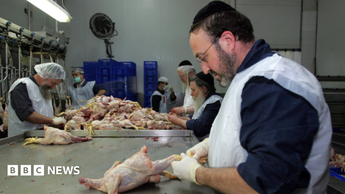 Polish ban on kosher slaughter of animals is overturned - BBC News