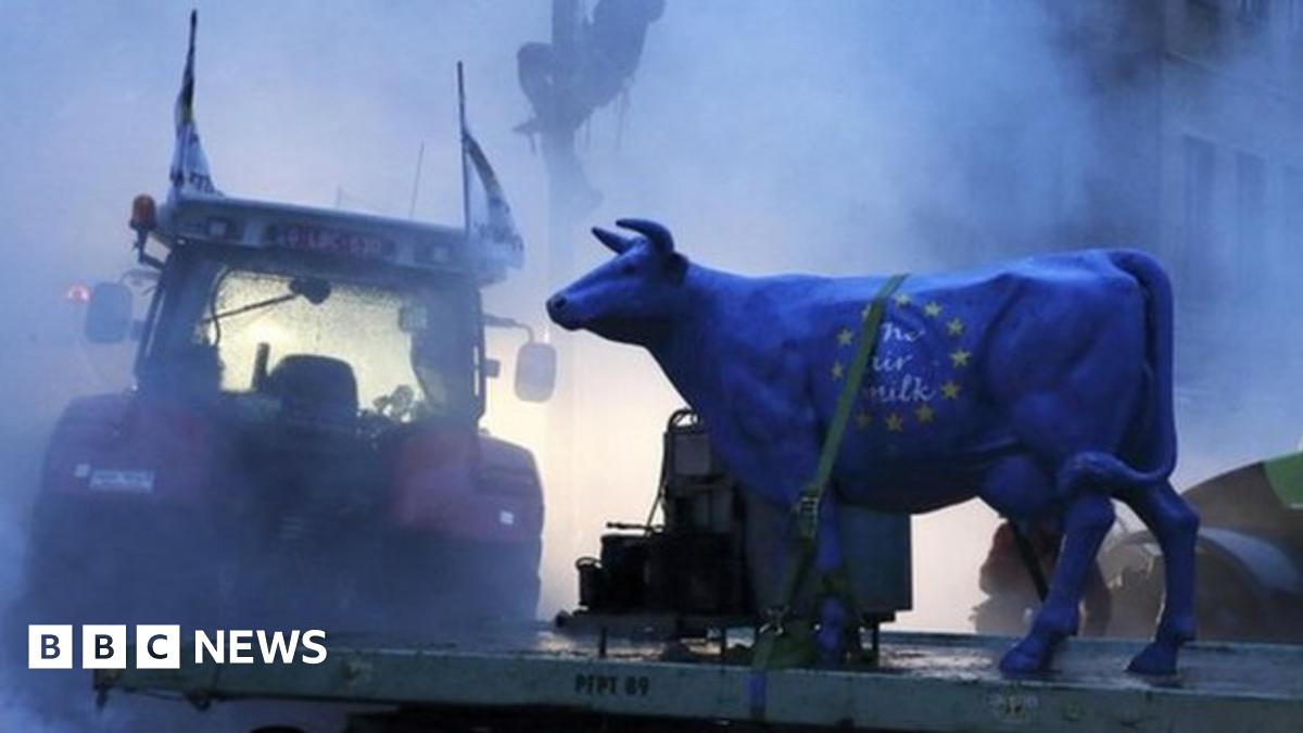 Anti-trade deal protest at EU falls on deaf ears - BBC News