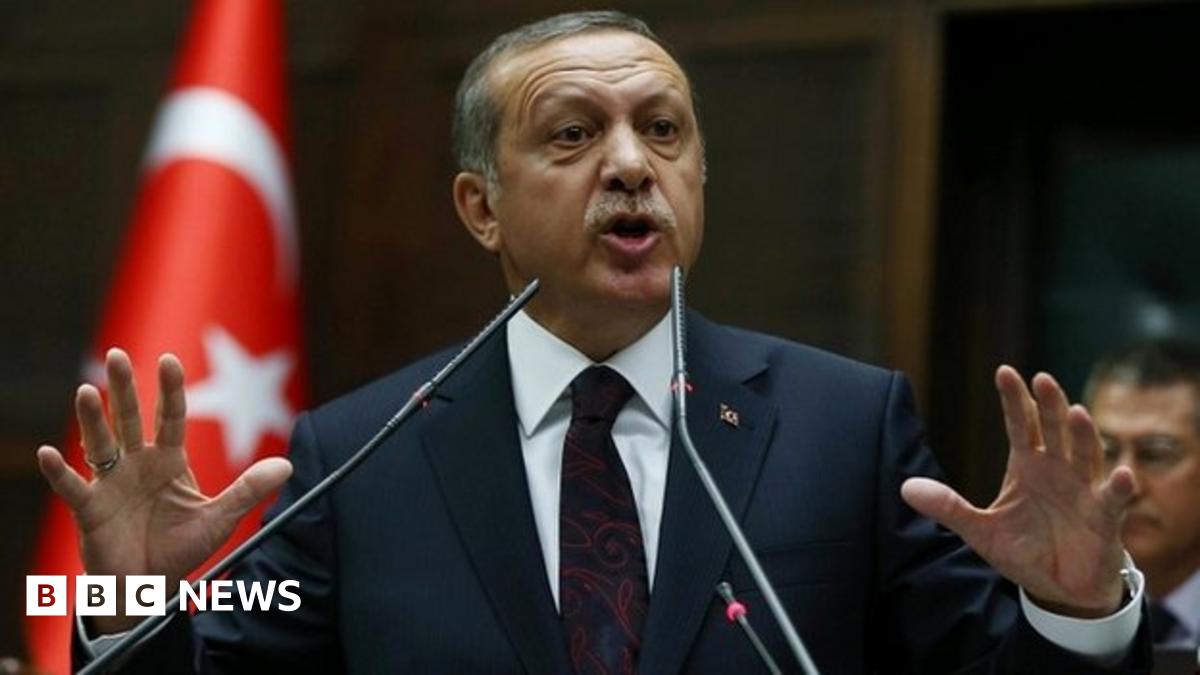 Turkish police arrest boy, 16, for insulting Erdogan - BBC News