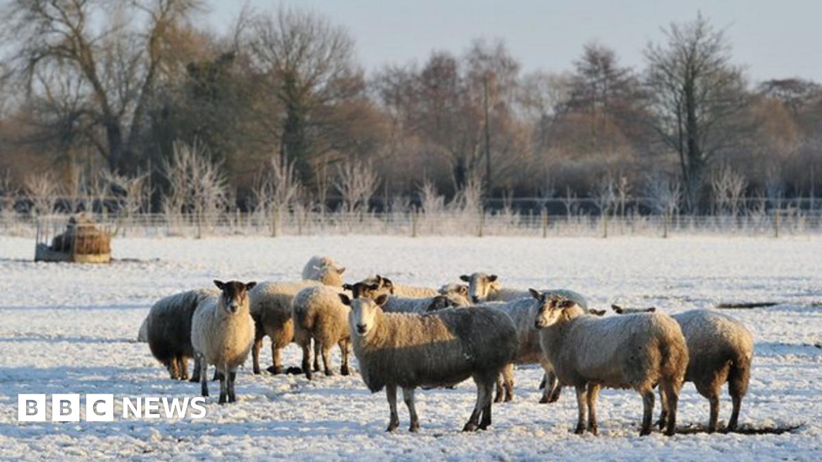 Cold weather: Record 2014 freeze for England, Wales and Northern ...