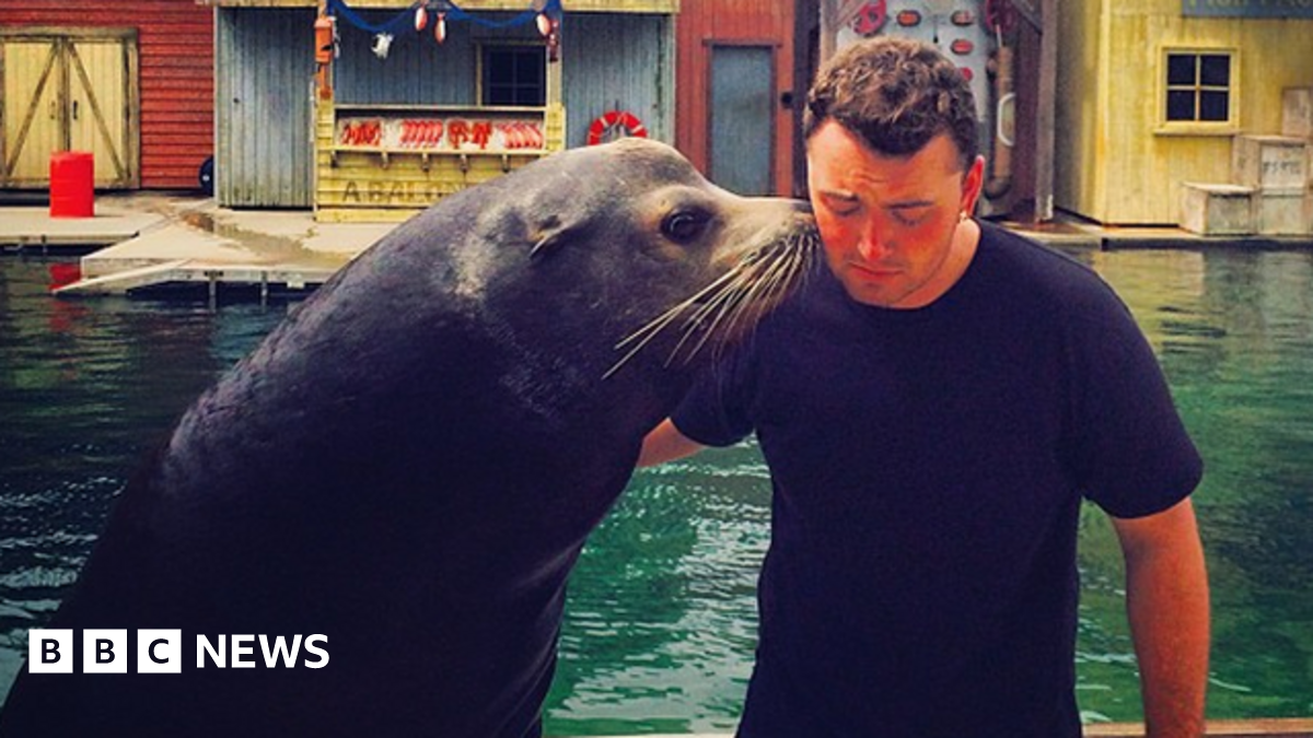 Sam Smith defends visit to SeaWorld in Australia - BBC News