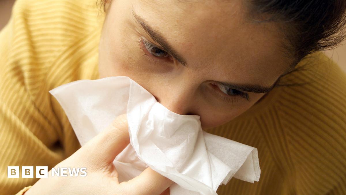 Common cold 'prefers cold noses' - BBC News
