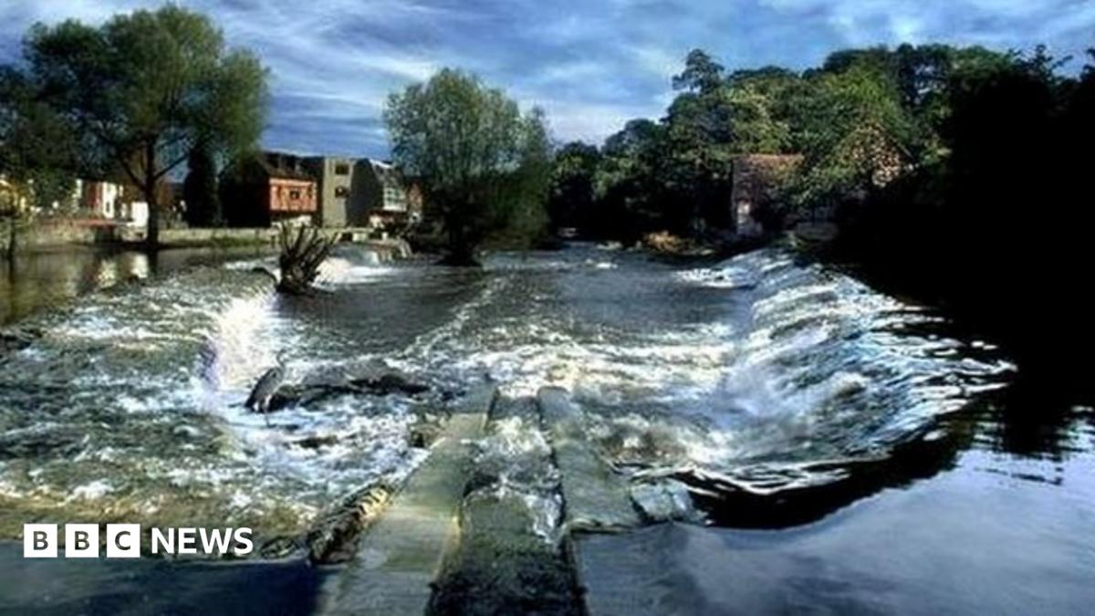 Teme River fish to 'increase greatly' with pass installation - BBC News