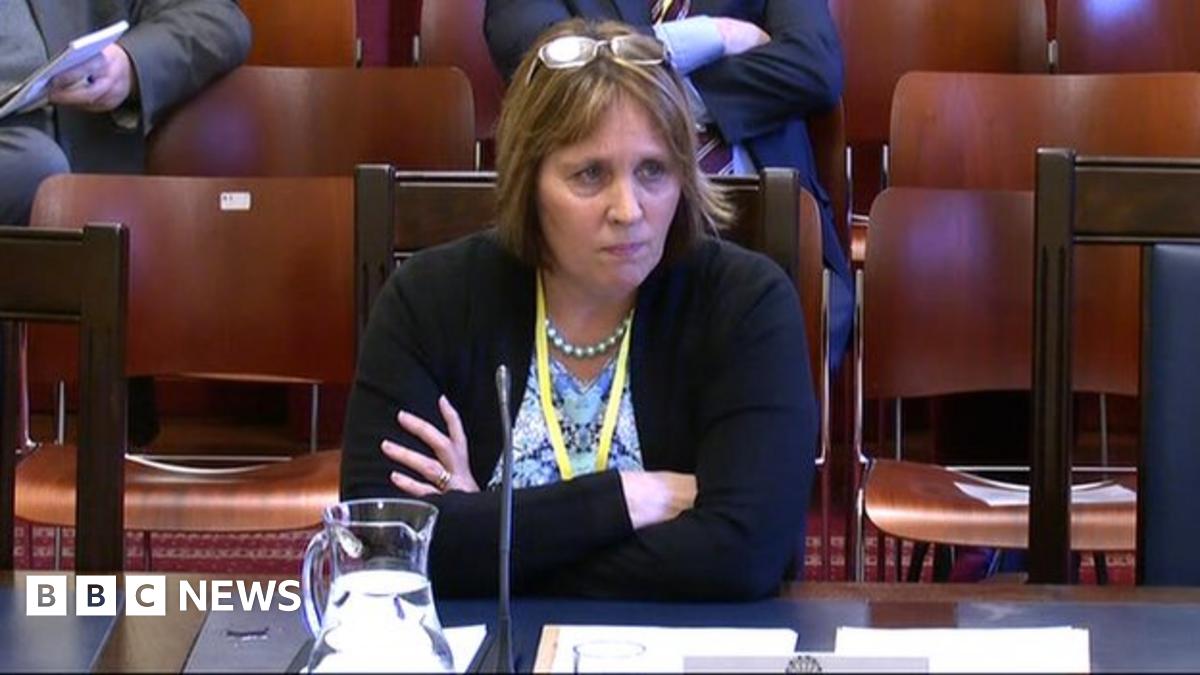 Jenny Palmer says she was 'bullied' by DUP advisor Stephen Brimstone ...