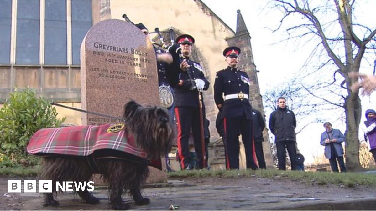 Greyfriars Bobby honoured in special event in Edinburgh - BBC News