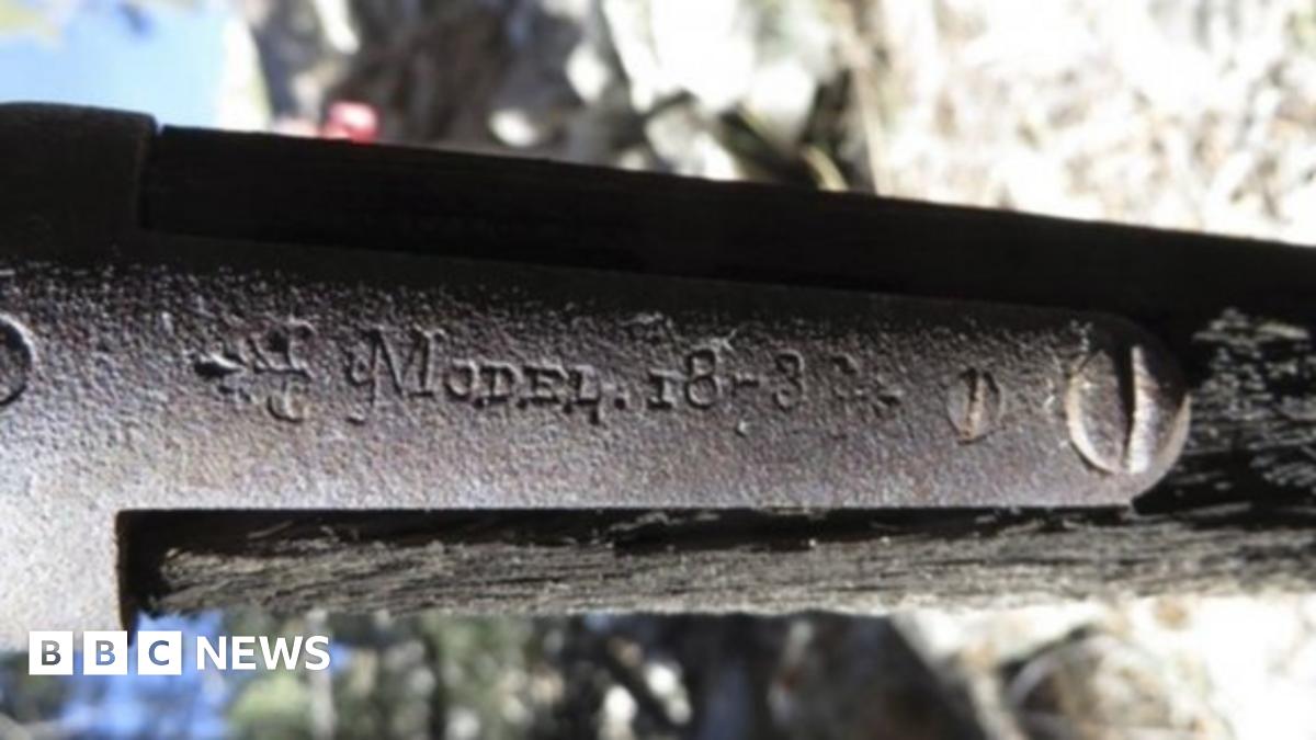 Rifle from 1882 found leaning on tree in Nevada park - BBC News