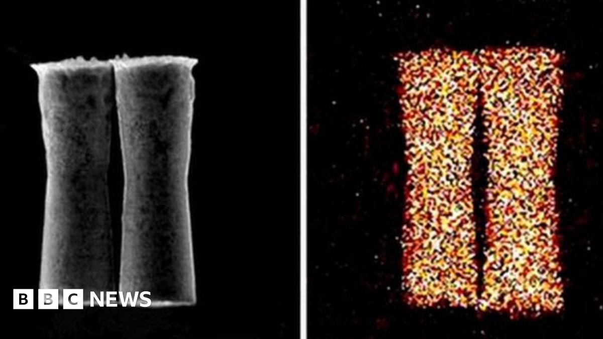 Micro-machines journey inside animal for first time - BBC News