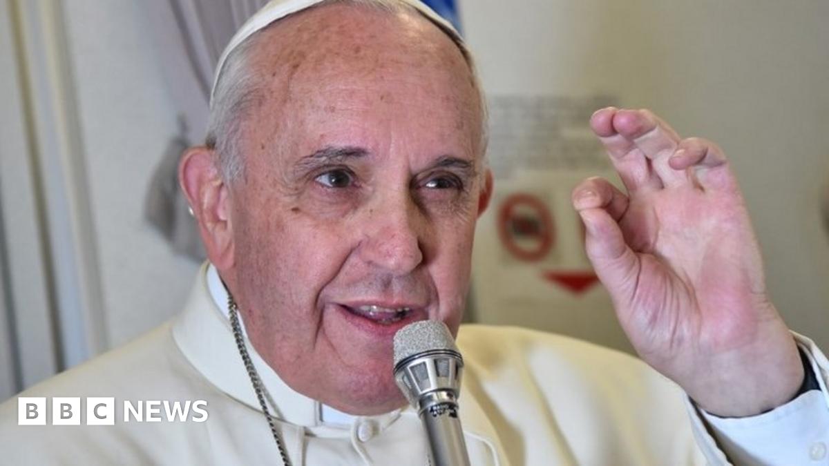 Pope Francis: No Catholic need to breed like 'rabbits' - BBC News