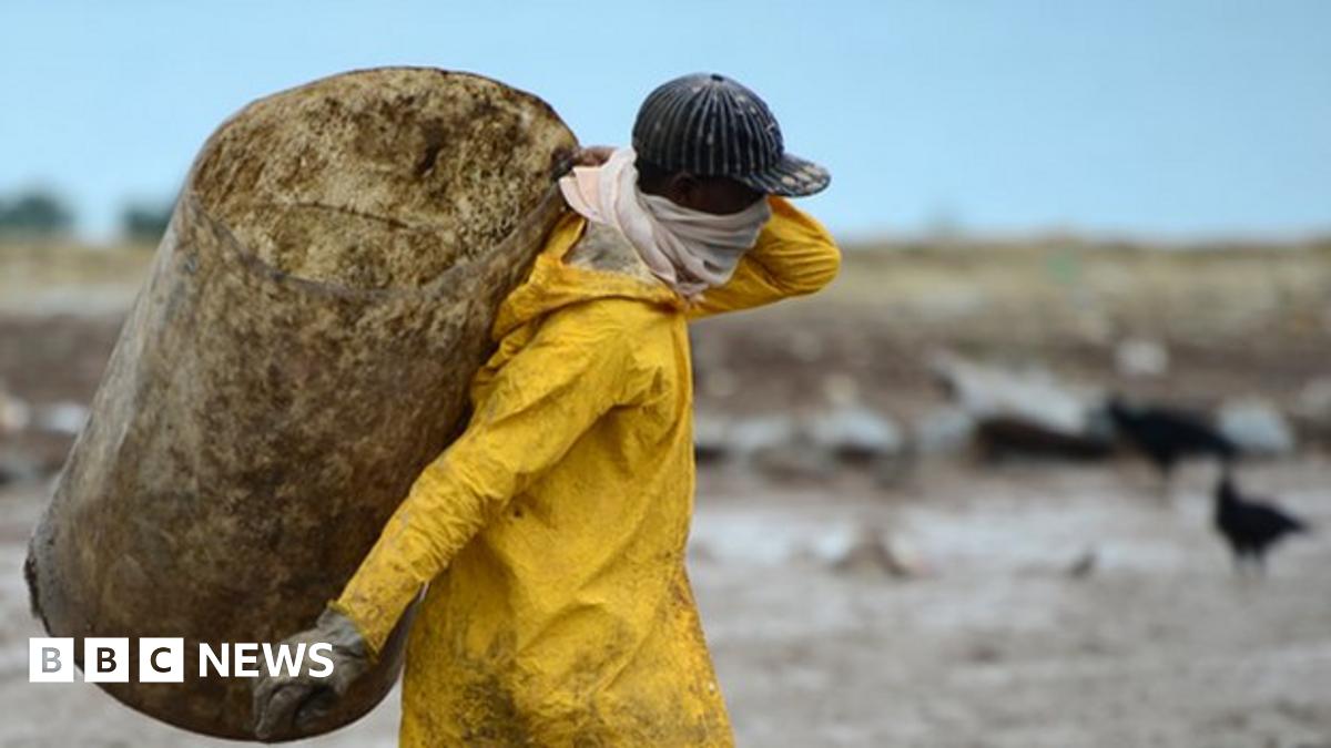 Striking gold - at a rubbish dump - BBC News