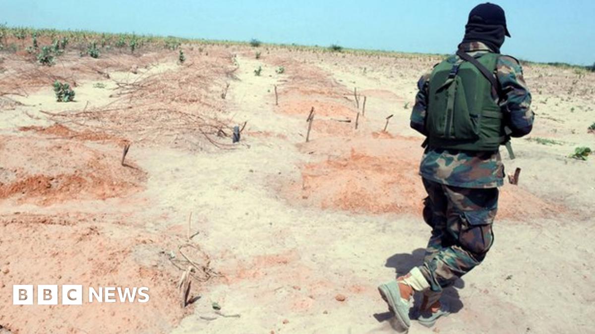 The soldiers without enough weapons to fight jihadists - BBC News