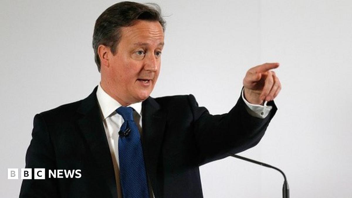 David Cameron: Timing vital for TV election debates - BBC News