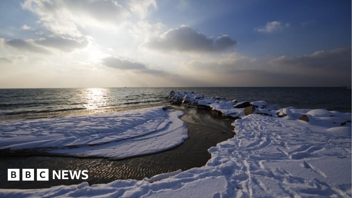 Denmark: Fishing boat catches WW2 mustard gas bomb - BBC News