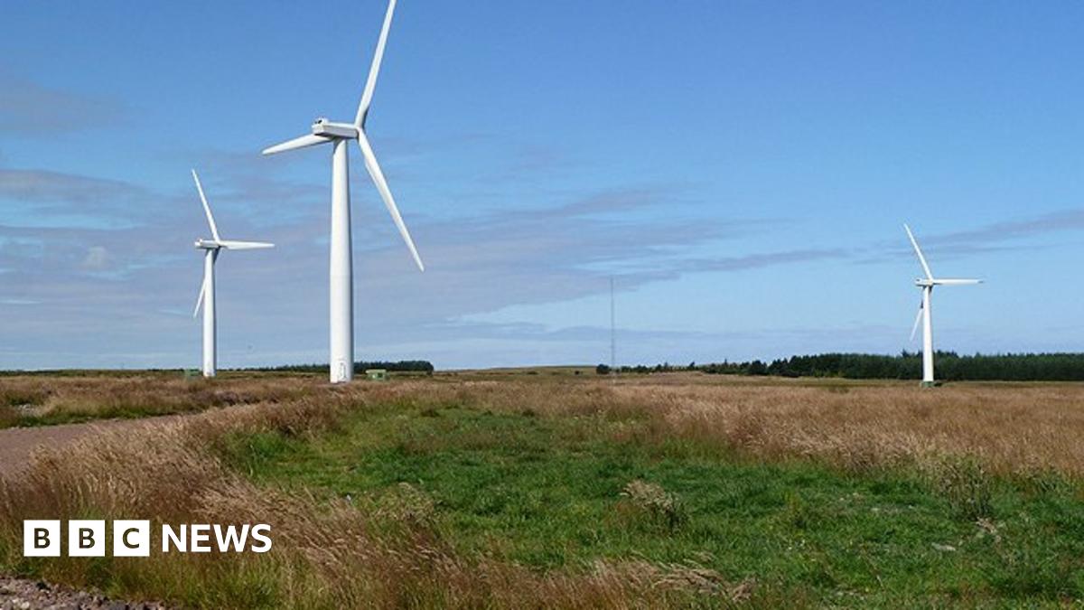 Third Grantshouse wind farm bid unveiled - BBC News