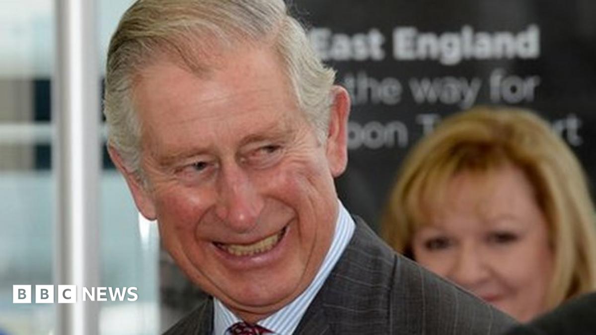 Prince Charles biography authoritative, but not flattering - BBC News