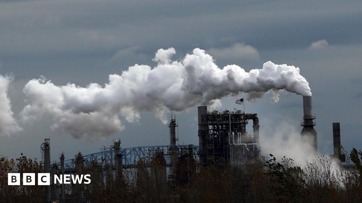 US oil workers on largest national strike since 1980 - BBC News