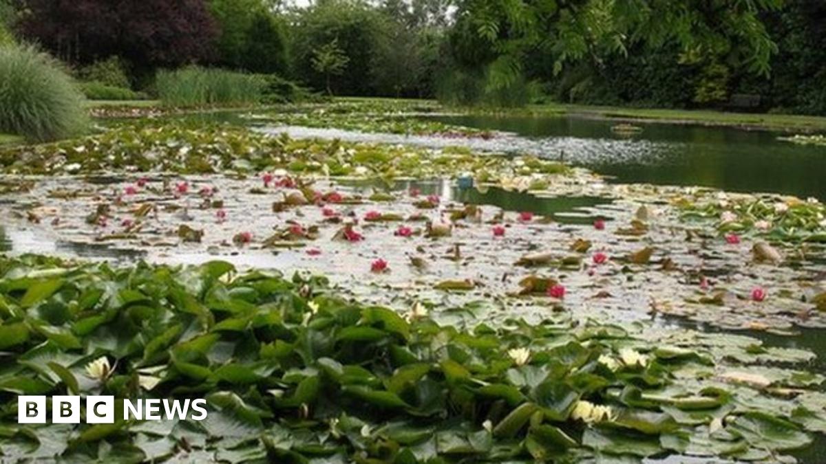 Burnby Hall Gardens gets funding for regeneration work - BBC News