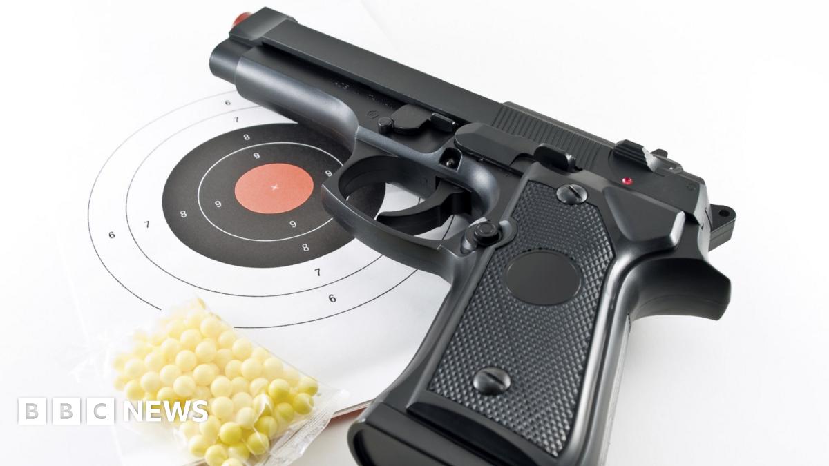 Monmouthshire BB-gun care worker could be struck off - BBC News