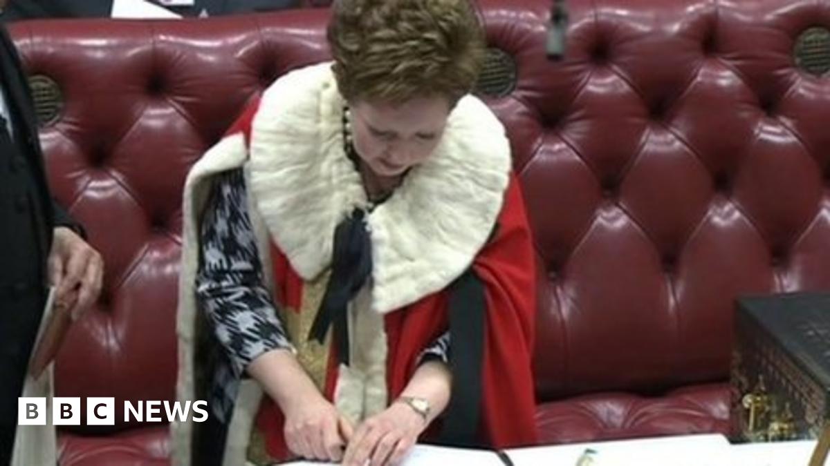 Effectiveness is key to future of Lords, says leader - BBC News
