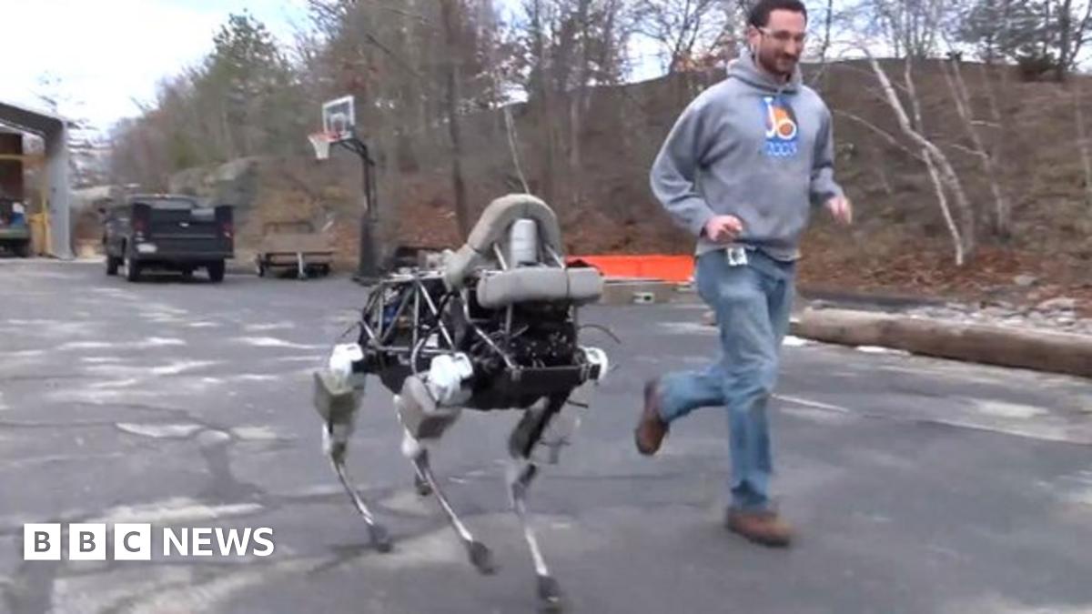 Taking the robot dog for a walk - BBC News