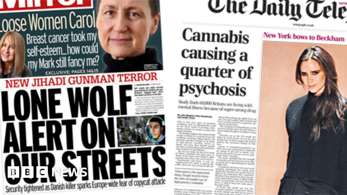 Newspaper review: Lone wolf fear, cannabis psychosis and online courts ...
