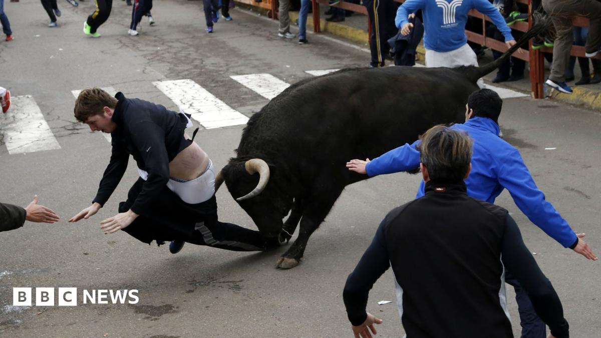 Tourist badly gored by bull in Spain - BBC News