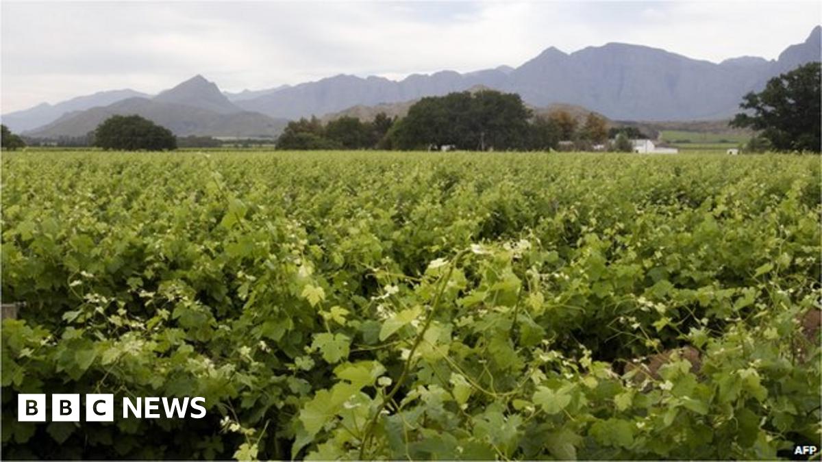 South Africa approves land expropriation bill - BBC News