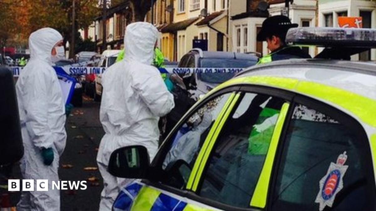 Southend stabbing: Woman remanded over Anton Levin murder - BBC News