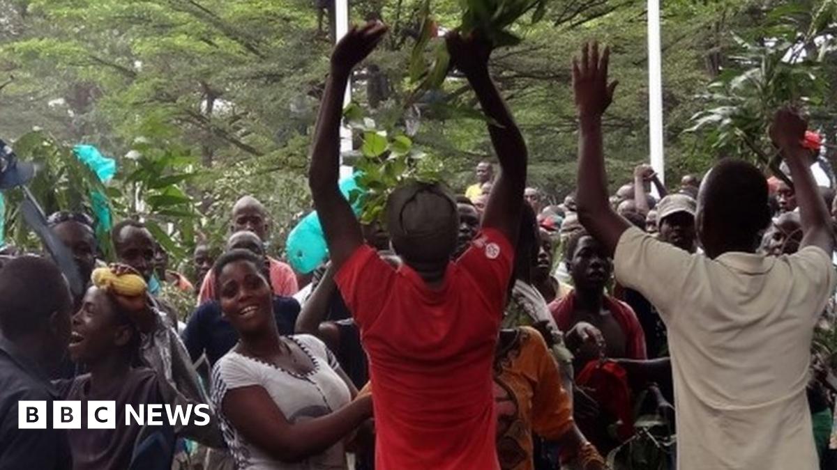 Burundians celebrate as journalist Bob Rugurika freed - BBC News