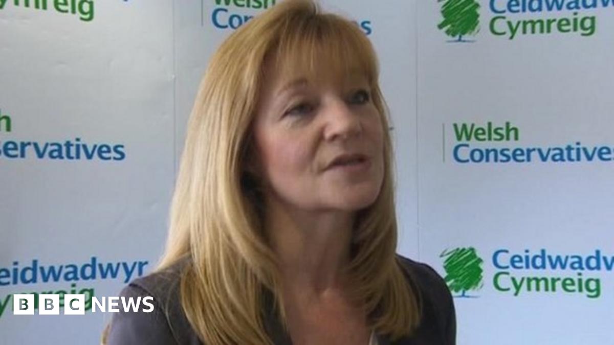 Welsh MEP Kay Swinburne defends bankers' bonus speech - BBC News