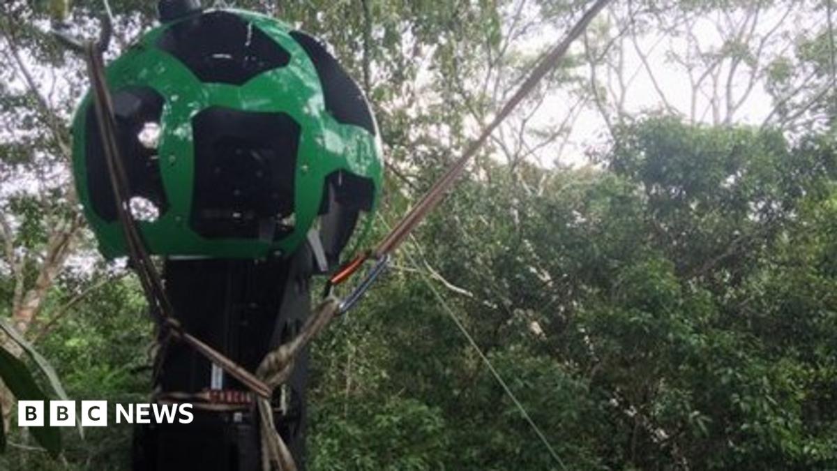 Google camera zip wires through the Amazon rainforest - BBC News