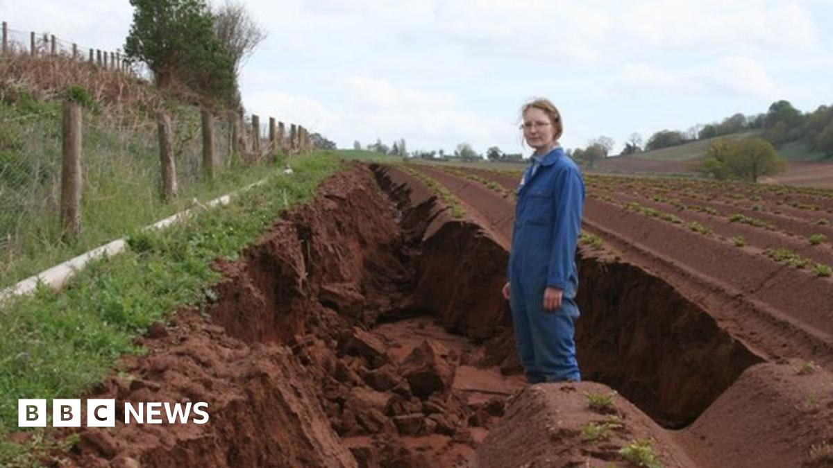 Europe's environment - good news and bad - BBC News