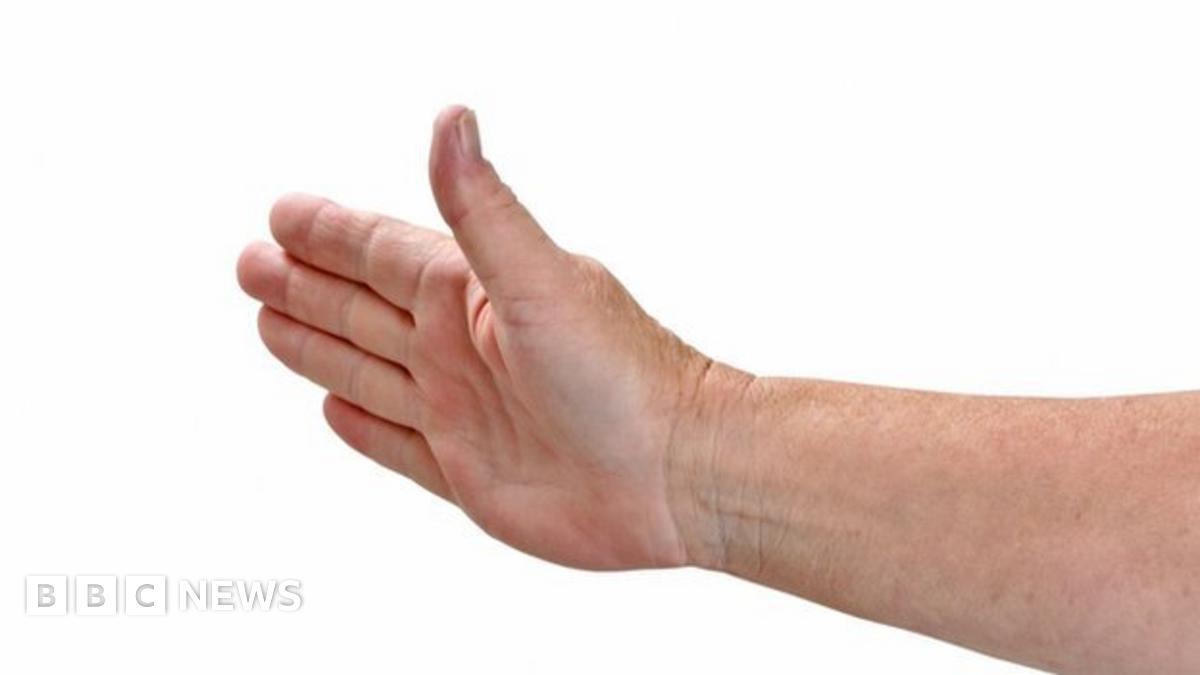 France holds back the anti-smacking tide - BBC News