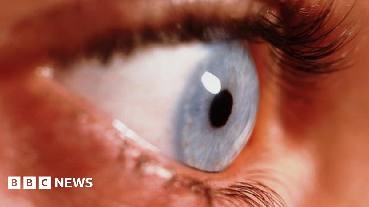 Shape of eye's 'light pipes' is key to colour sorting - BBC News