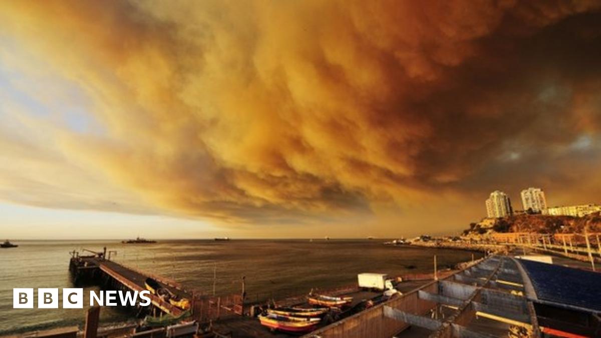 Chile forest fire near Valparaiso sparks evacuations - BBC News