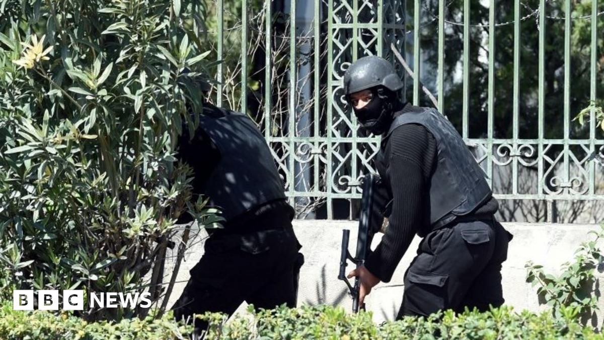 Tunis attack: Gunmen kill tourists in museum rampage - BBC News