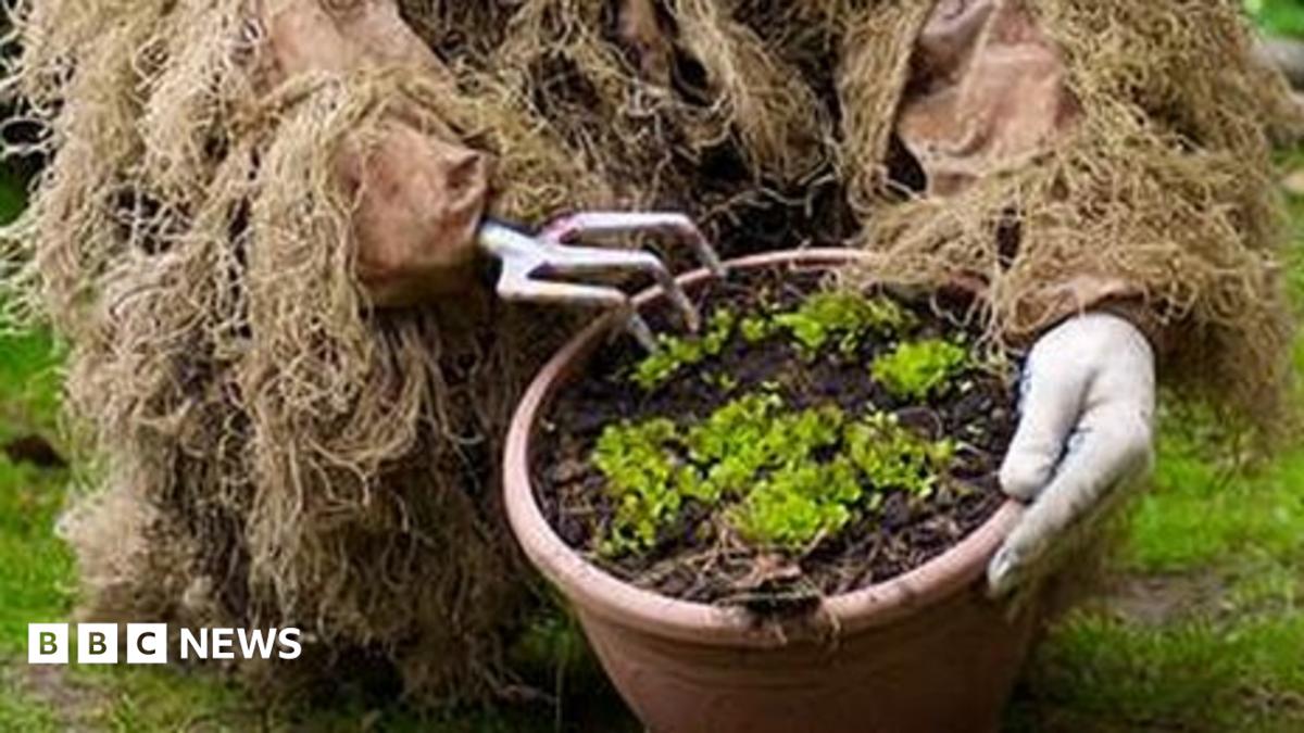 Colchester 'Human Shrub' vows to protect green spaces - BBC News