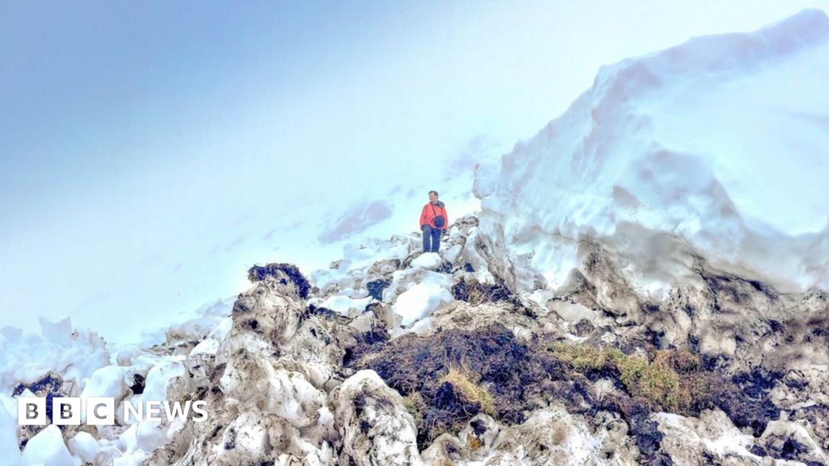 Experts to review public messages on avalanche risk - BBC News