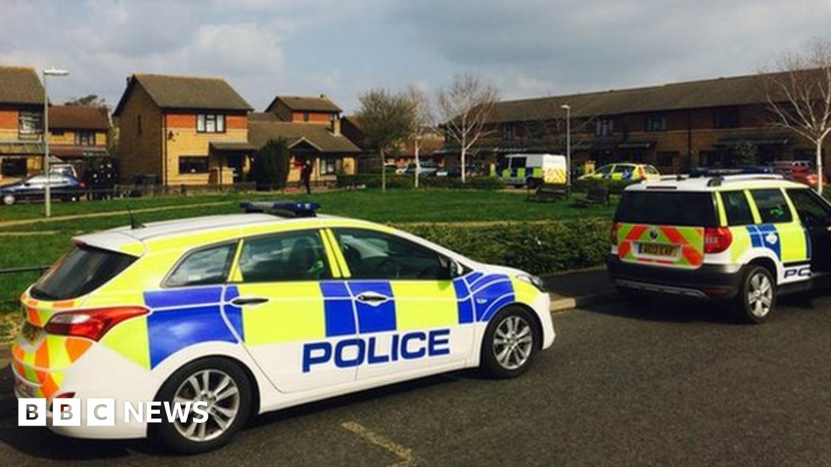 Cambridgeshire Police armed officers at Ellison Close siege - BBC News