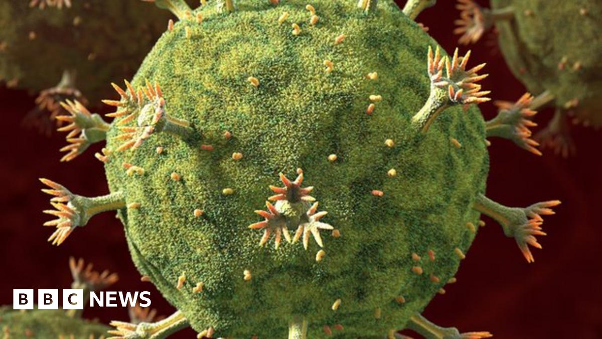 HIV: new approach against virus 'holds promise' - BBC News