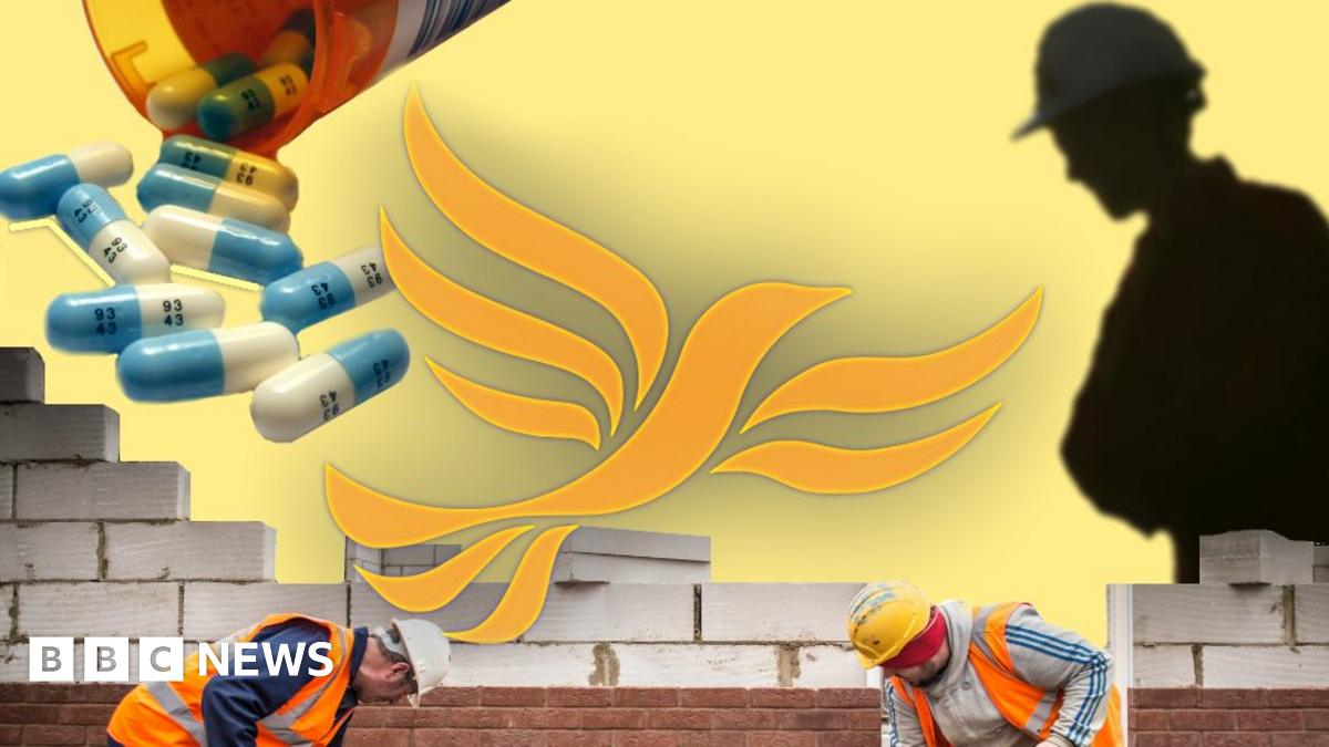 Lib Dem manifesto: What's in it for young people in the UK? - BBC News