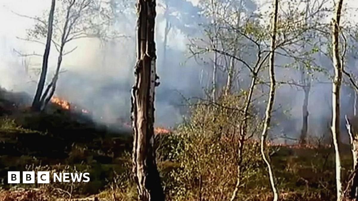 Pirbright fire destroys 40 hectares of heathland - BBC News