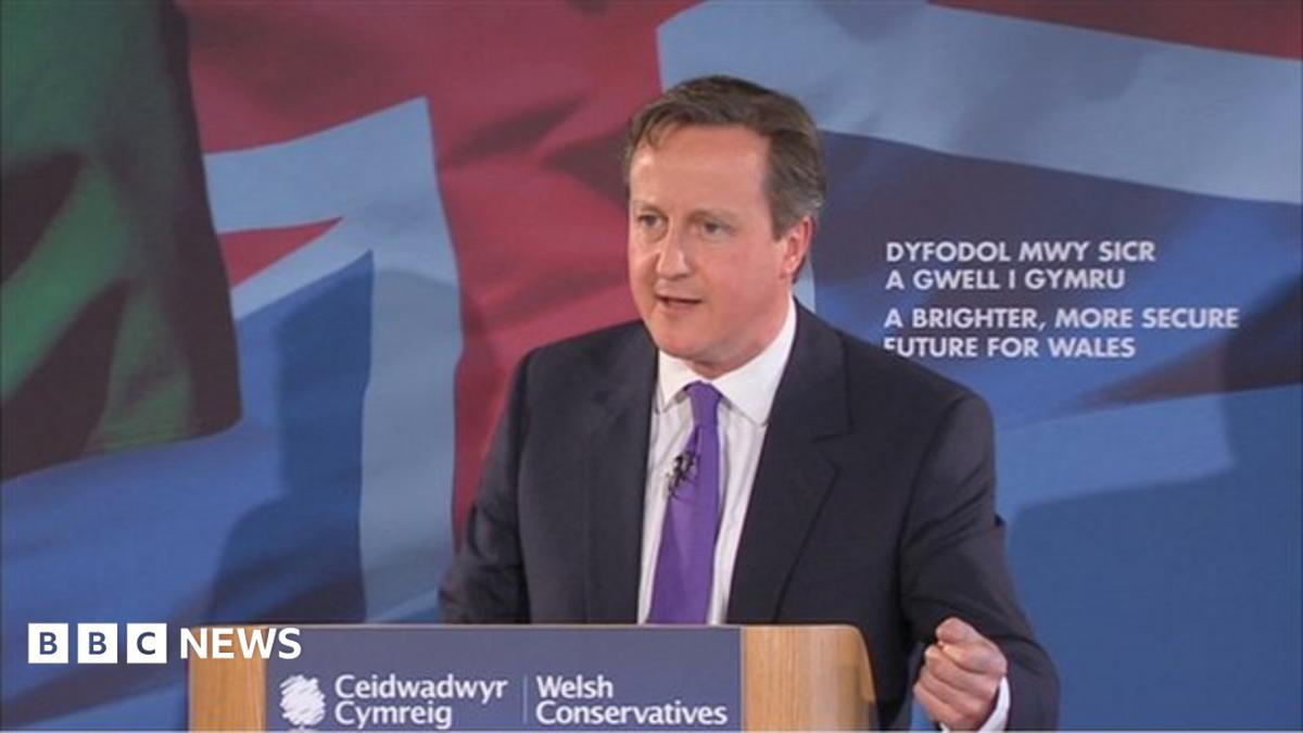 Election 2015: David Cameron warns of Labour 'damage' - BBC News