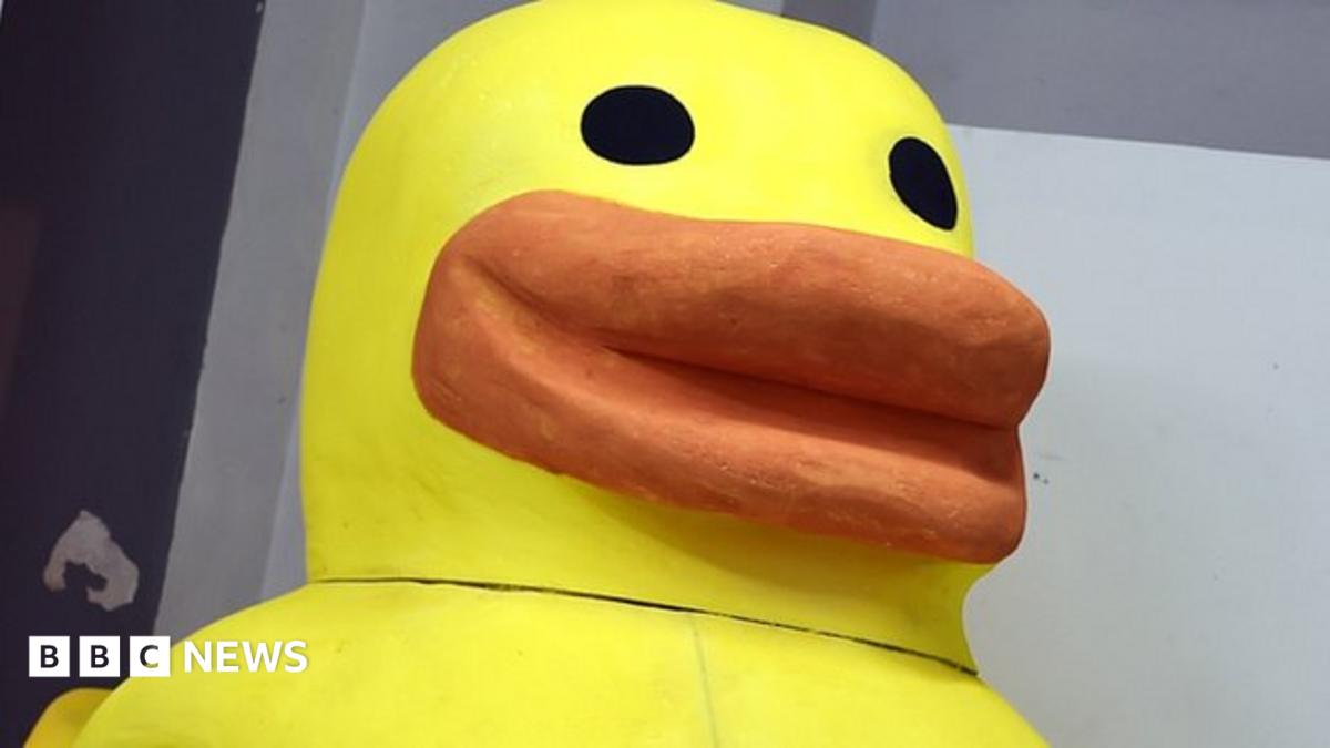 Serbia: Duck protest against waterfront development - BBC News