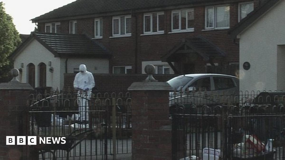 Pipe bomb thrown into garden in east Belfast - BBC News