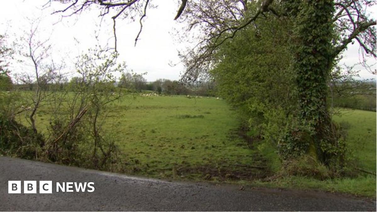 Man, 59, killed in Rasharkin crash - BBC News