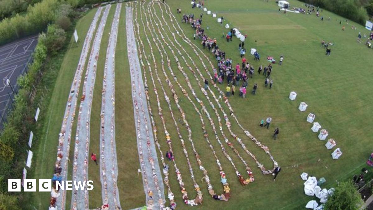 World record hopes for teddy bear line-up in Alvechurch - BBC News