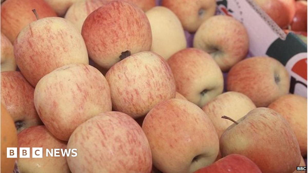 Victoria to investigate foreign worker exploitation in Australia - BBC News